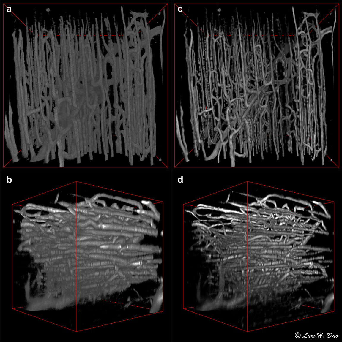 GitHub - lamdao/bdkf: 3D Adaptive Spatial deconvolution using Blind ... GitHub - lamdao/bdkf: 3D Adaptive Spatial deconvolution using Blind ...